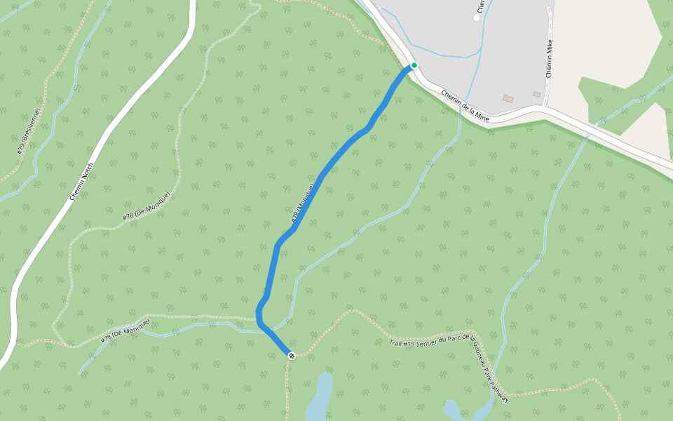 #78 (Monique) Hiking Trail - Chelsea, Quebec | Pacer