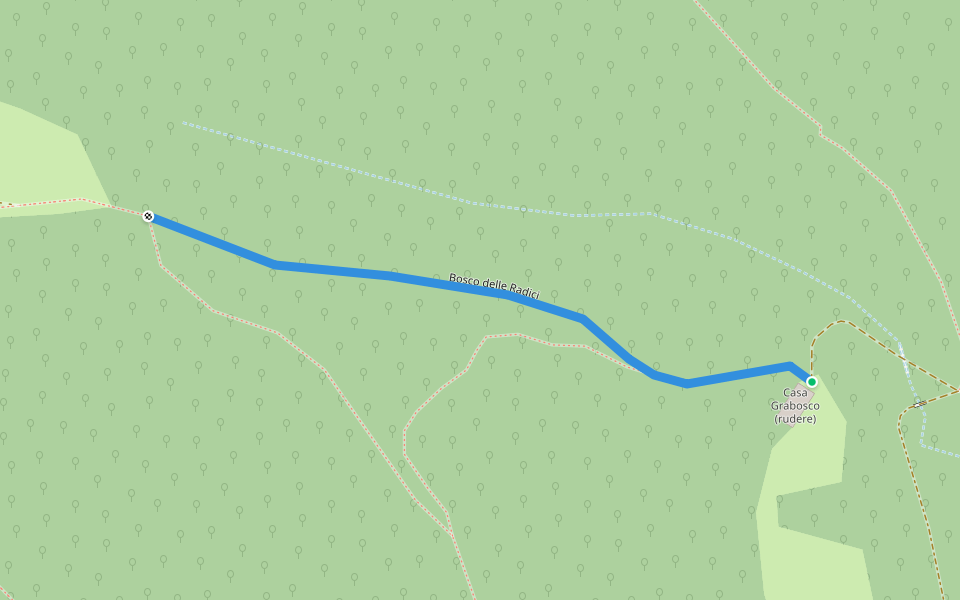 Forest of Roots Walking And Running Trail - Piemonte | Pacer
