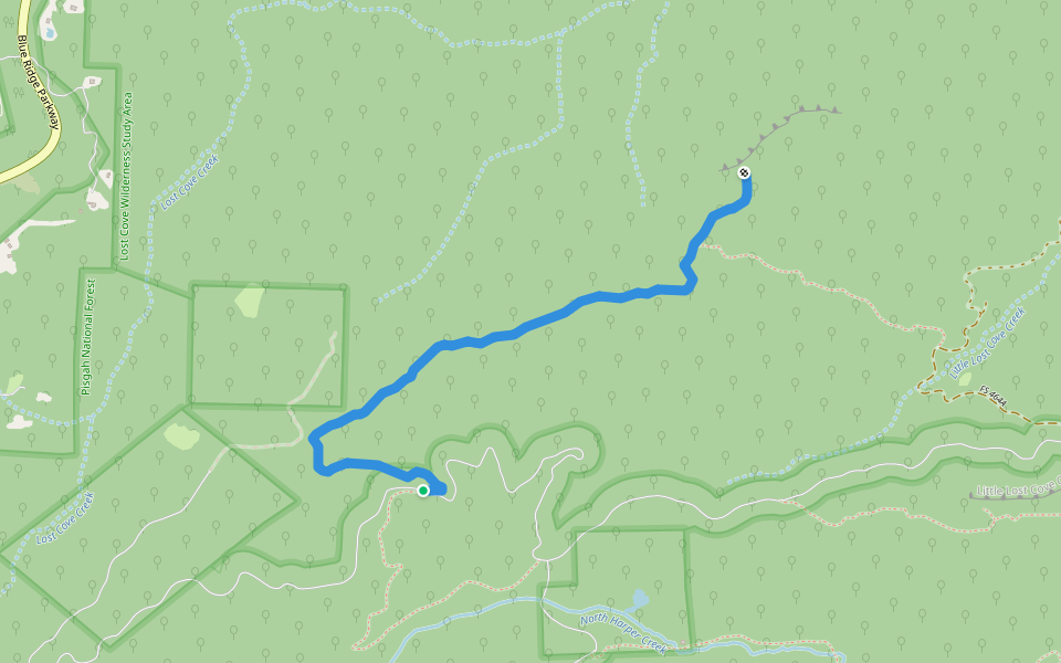 Big Lost Cove Cliffs Trail (271) Hiking - Newland, North Carolina | Pacer