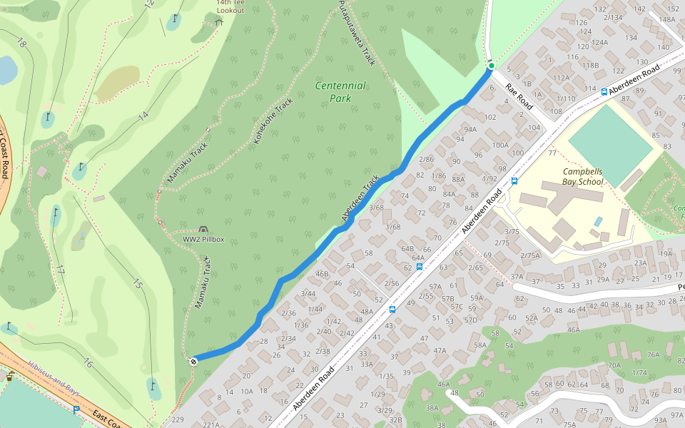 Aberdeen Track Hiking - Auckland | Pacer