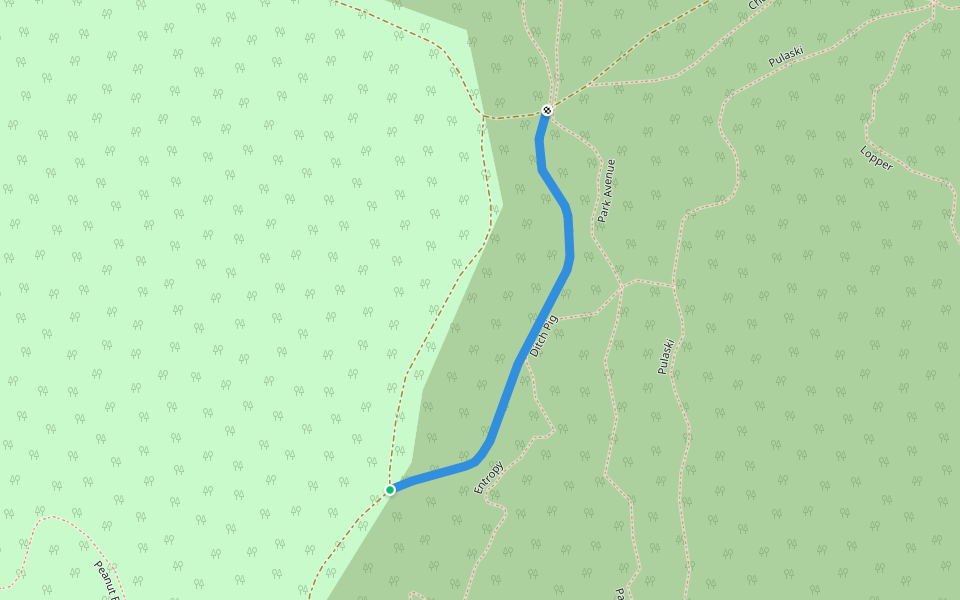 Ditch Pig Walking And Running Trail - Prince George, British Columbia ...