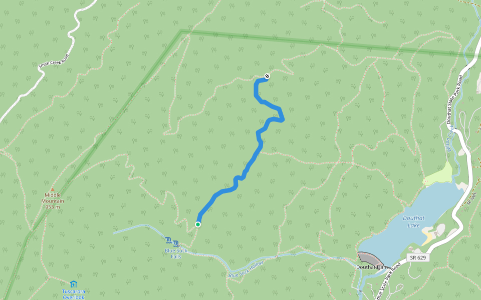 Pine Tree Trail in Virginia | Walking Map