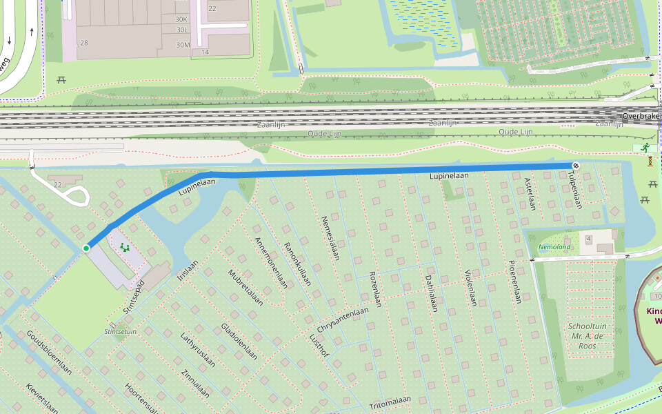 Lupinelaan Walking And Running Trail - Amsterdam, Noord-Holland | Pacer