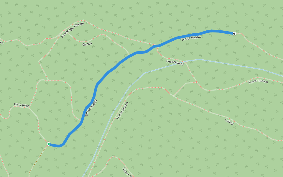 White Rabbit Walking And Running Trail - Bevan, British Columbia | Pacer