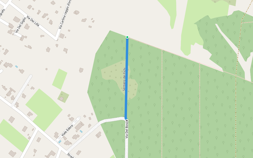 Fig Path Walking And Running Trail - Puglia | Pacer