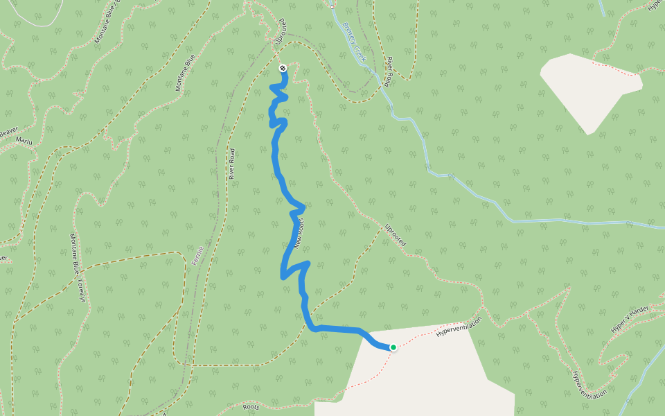 New Roots in British Columbia | Walking Map