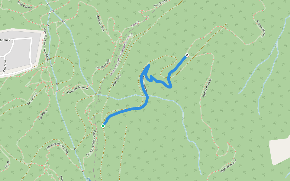 Resurrection Hiking Trail - Fernie, British Columbia | Pacer