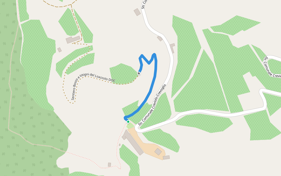 Forest and Vineyards of Loazzolo DOC trail | Walking Map