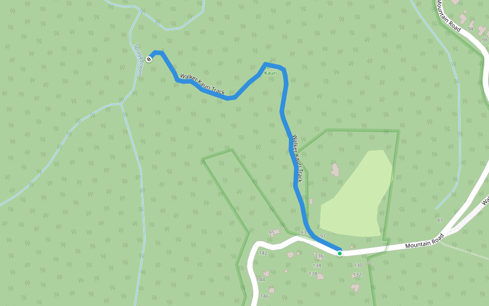 Walker Kauri Track in Auckland | Walking Map