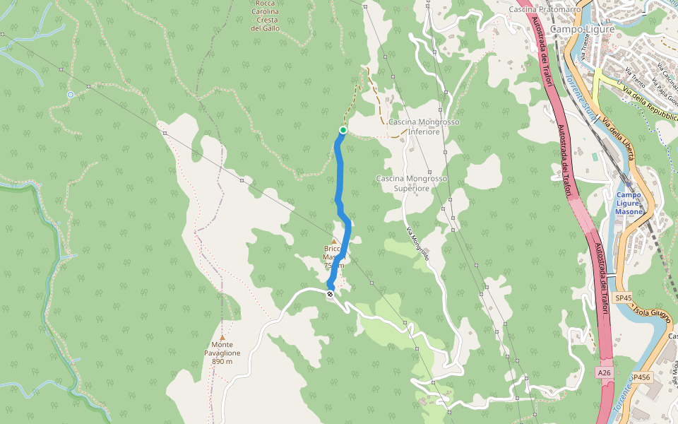 Yellow triangular path | Walking Map