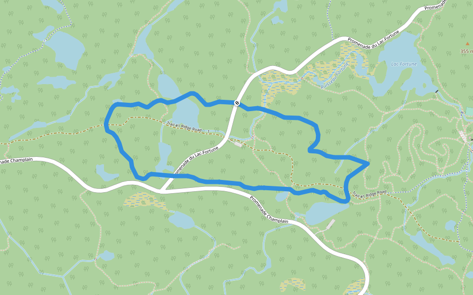 Trail #11 Hiking - Chelsea, Quebec | Pacer