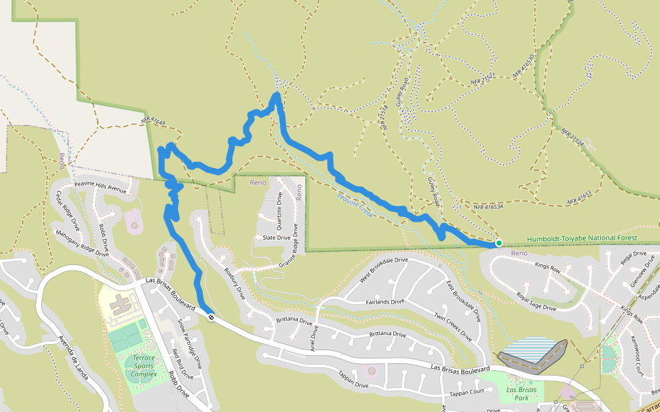 Las Brisas Trail Hiking - Reno, Nevada | Pacer