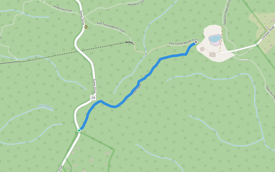 Filter Track Walking and Running - Auckland | Pacer