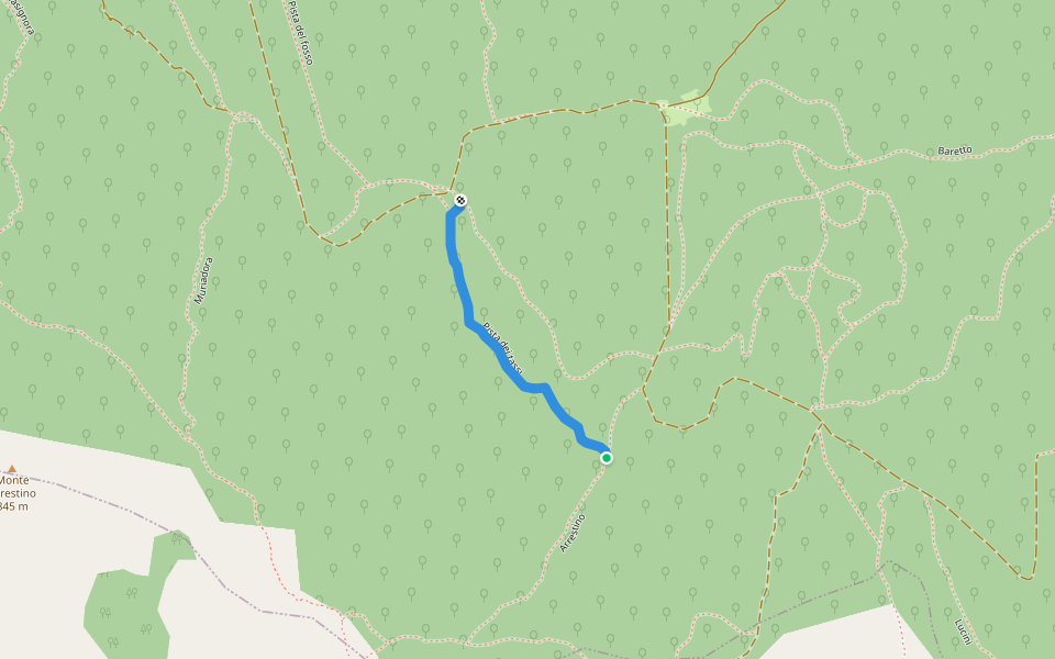 Badger trail Walking and Running - Lazio | Pacer