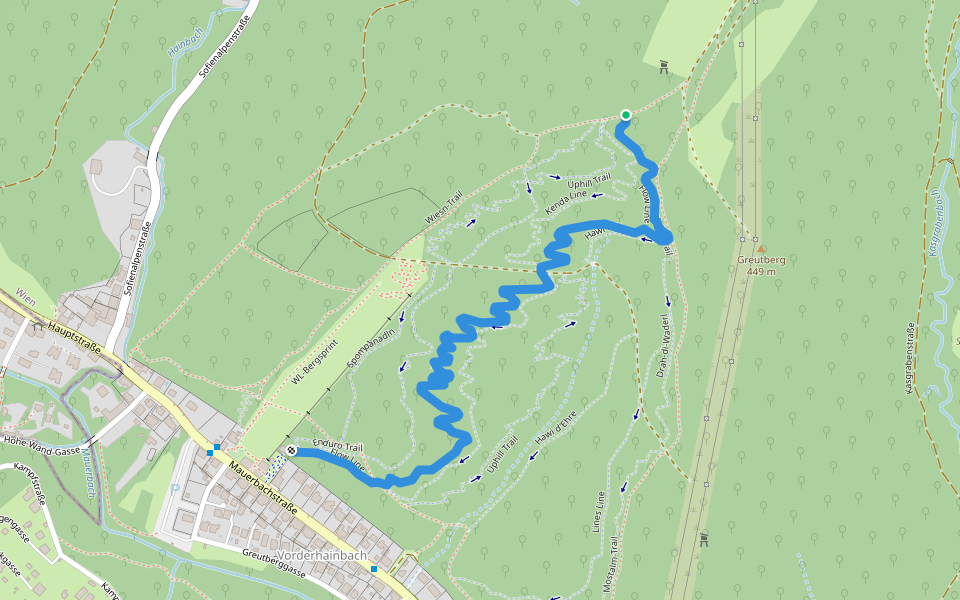 Flow Line Walking And Running Trail - Wien | Pacer