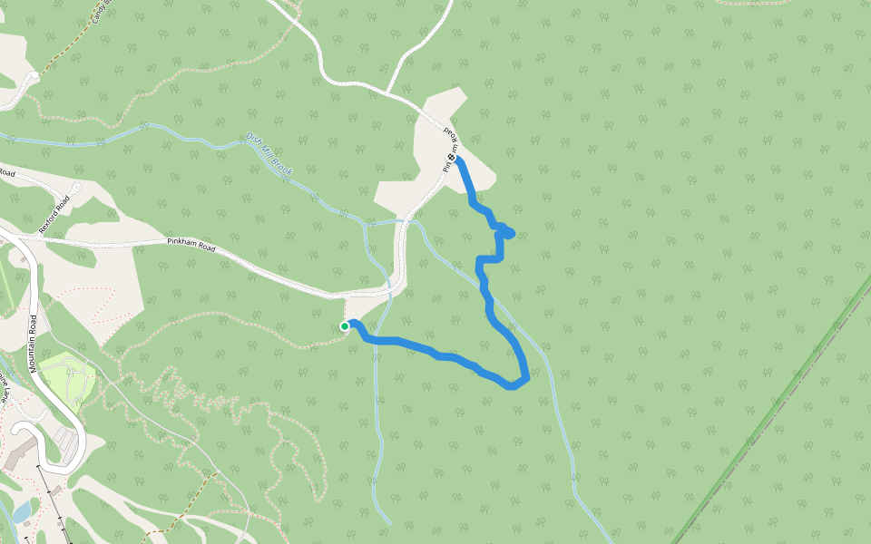 Wilder Way Hiking Trail - Burke, Vermont | Pacer