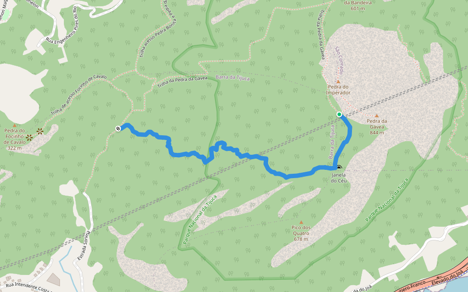 Access trail to Pedra da Gavea via Pico dos Quatro in Rio de Janeiro ...