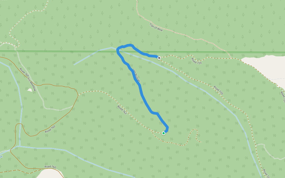 Log Bridget in Oregon | Walking Map
