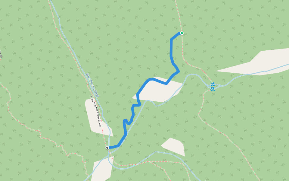 Summer Trail - Evan Thomas Creek Connector Route in Alberta | Walking Map