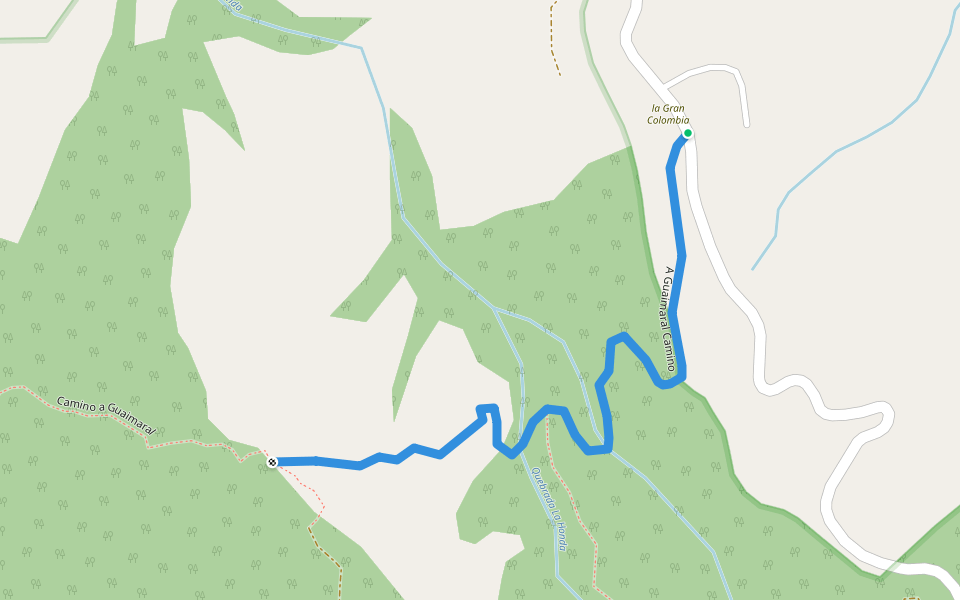 To Guaimaral Road Hiking - Risaralda | Pacer