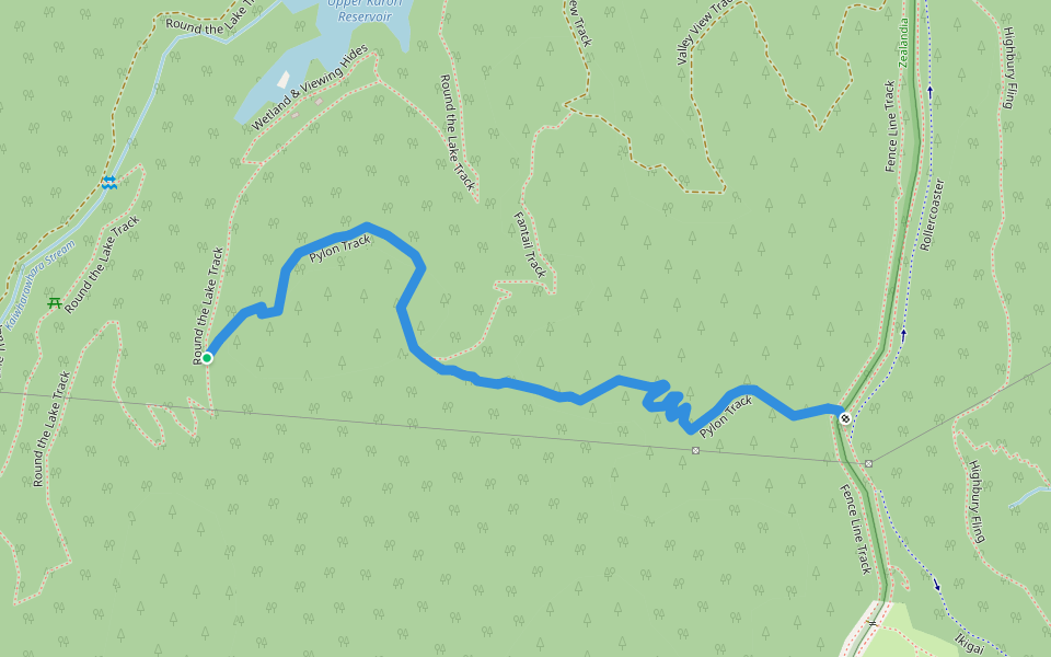 Pylon Track Hiking - Wellington | Pacer