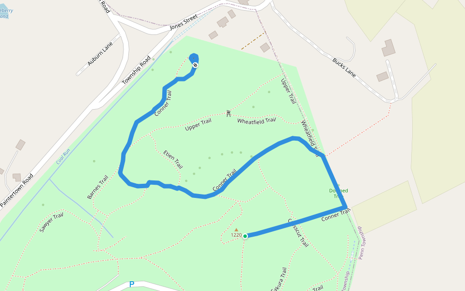 Conner Trail Hiking - Irwin, Pennsylvania | Pacer