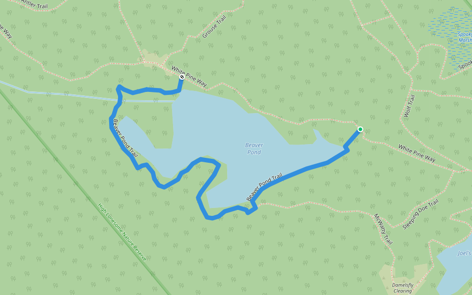 Beaver Pond Trail Walking and Running - Pakenham, Ontario | Pacer