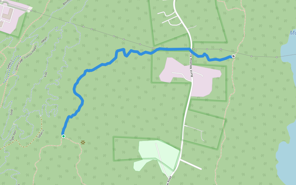 Burnt Meadow Trail (Green) / Hewitt-Butler Trail (Blue) in New Jersey ...