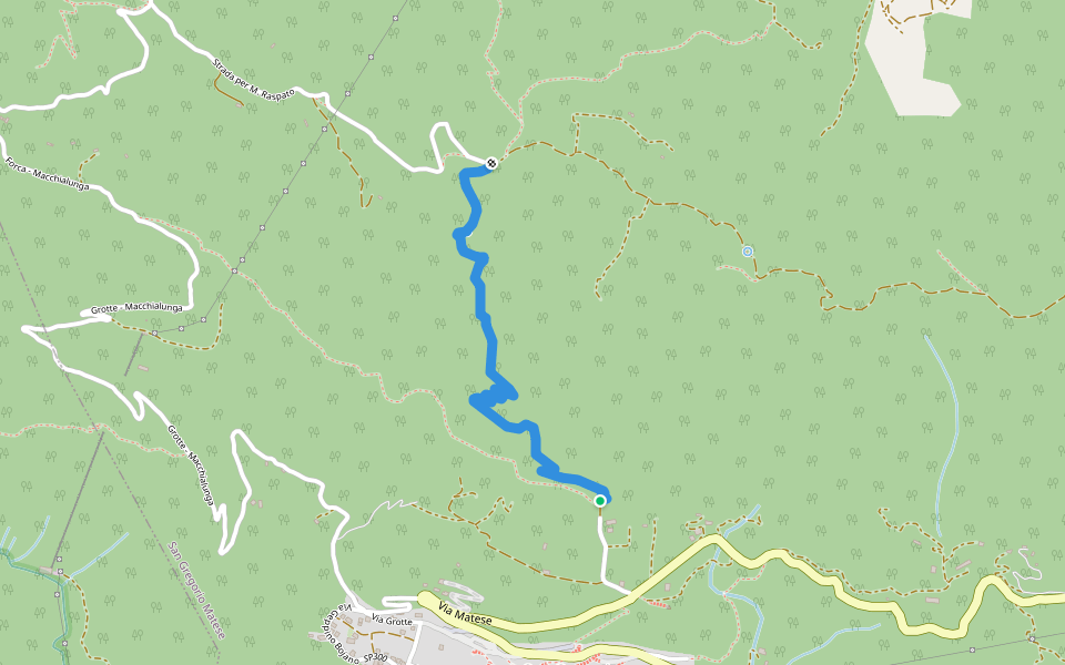 Le Macchie mule track | Walking Map
