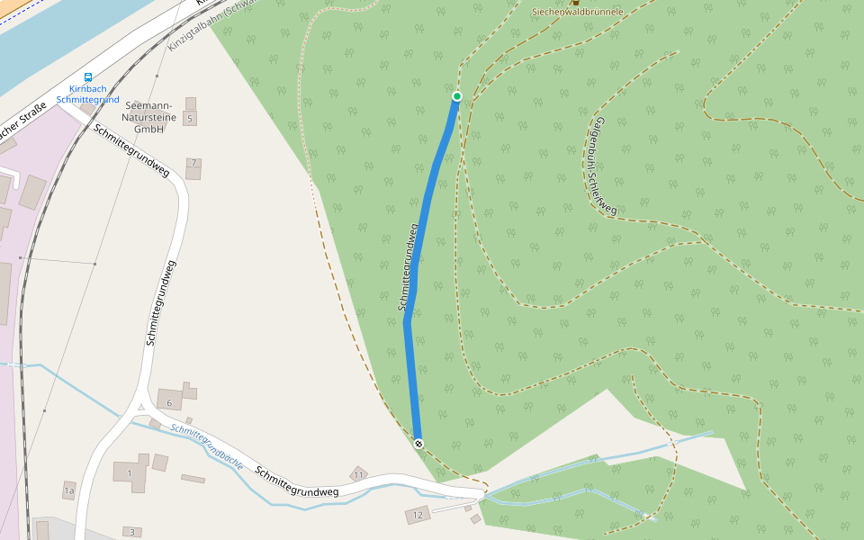 Schmittegrundweg Trail - Wolfach, Baden-Württemberg | Pacer