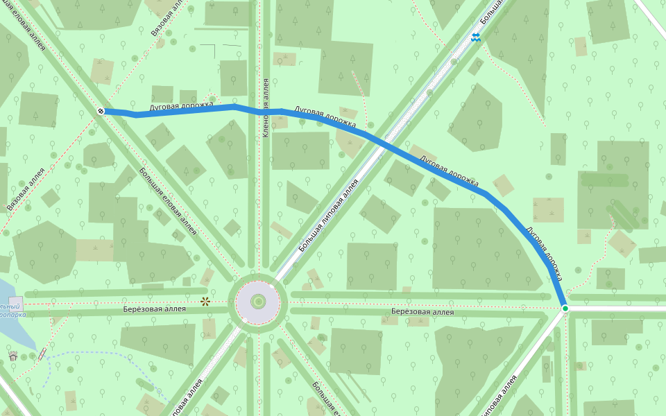 Arc track Walking and Running - Moskva | Pacer