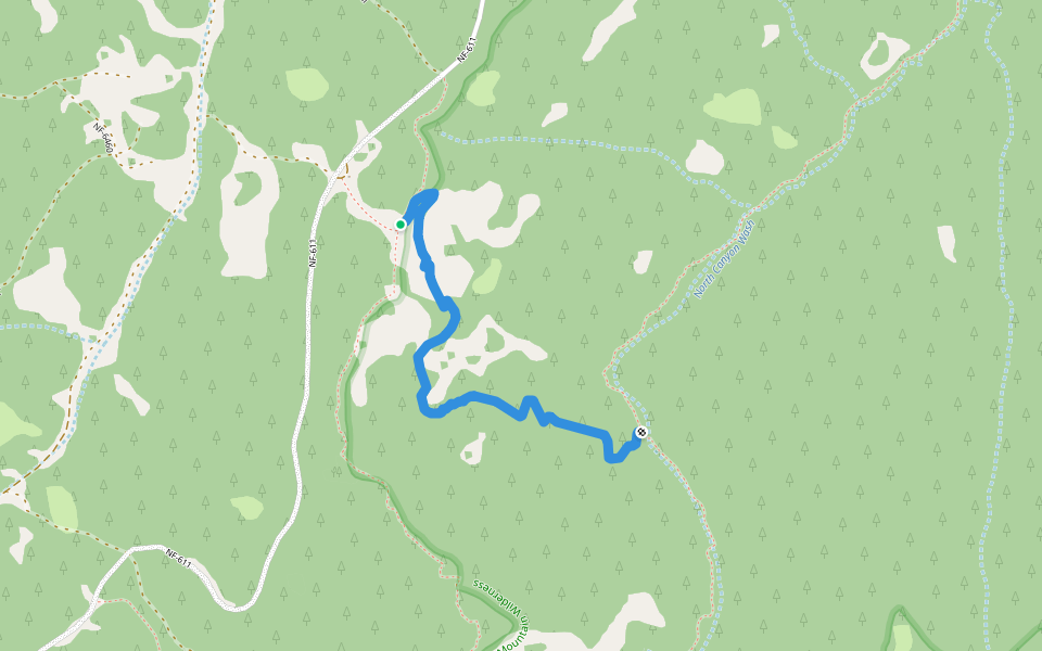 East Rim Trail #7 Sendero | Pacer