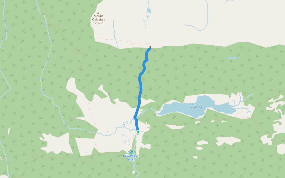 Mount Oakleigh Track Hiking - Cradle Mountain, Tasmania | Pacer