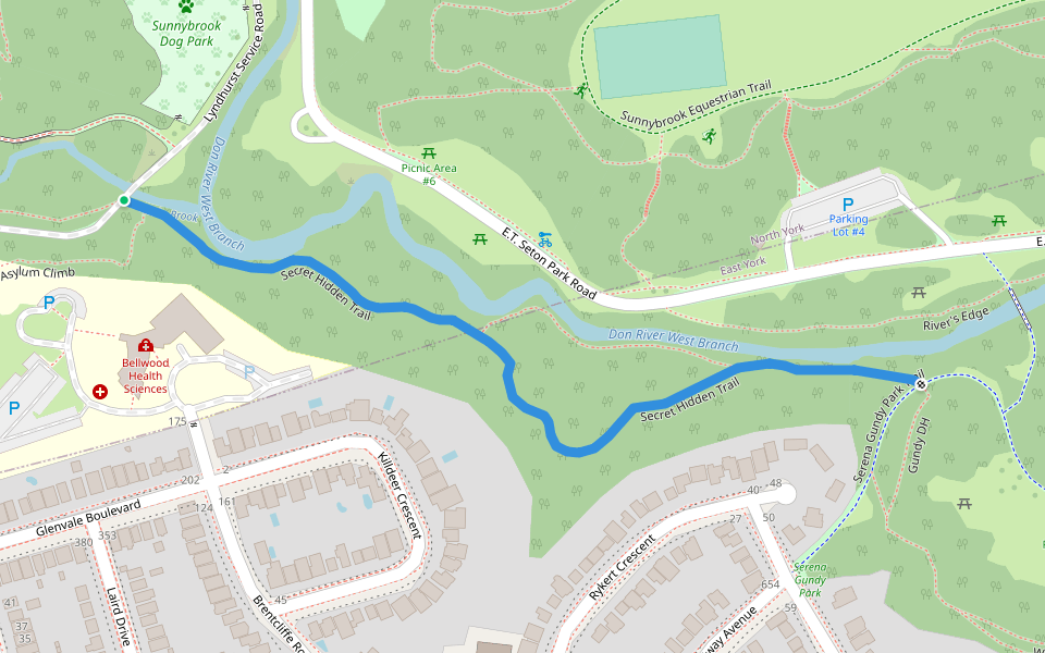 Secret Hidden Trail Walking and Running - Toronto, Ontario | Pacer