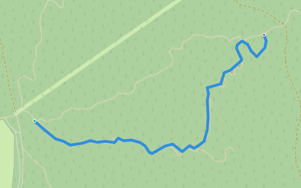 Icelandic Walking And Running Trail - Graz, Steiermark | Pacer