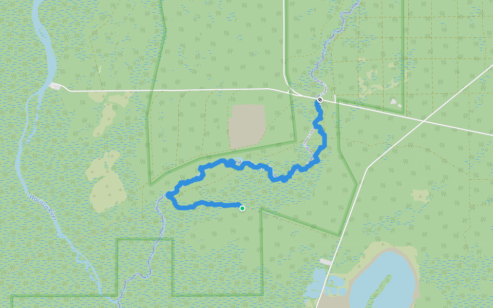 Aucilla River Trail Hiking - Monticello, Florida | Pacer