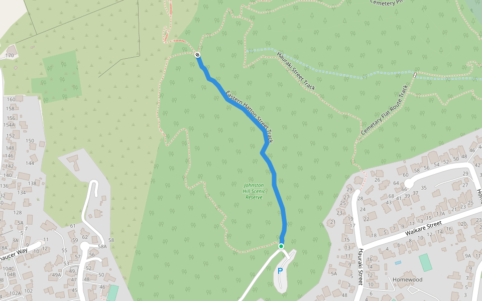 Eastern Hatton Street Track Hiking - Wellington | Pacer