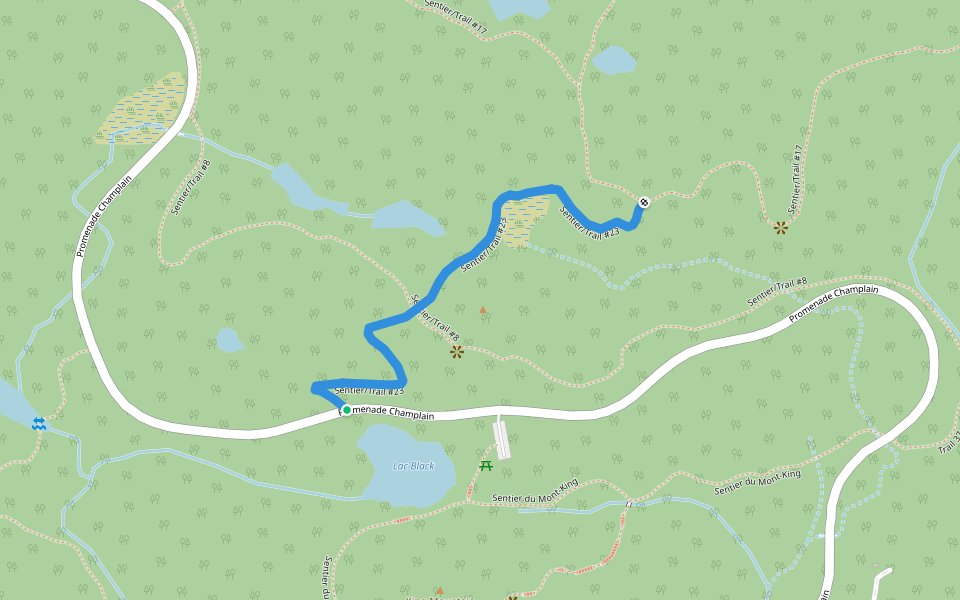 Trail #23 Hiking - Chelsea, Québec | Pacer