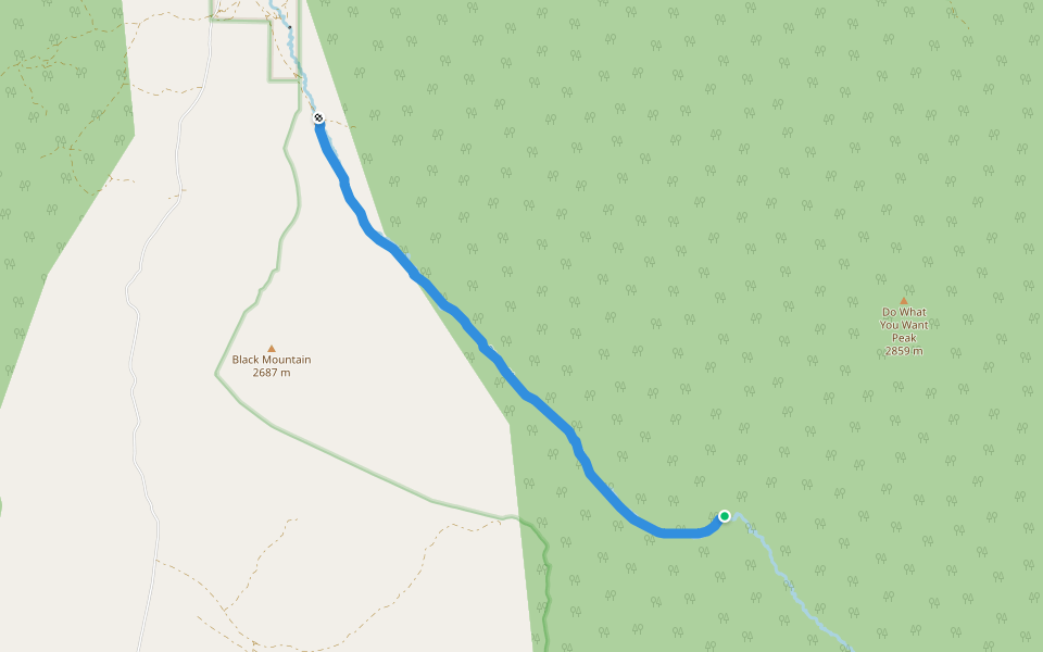 Reese River Trail Walking and Running - Nevada | Pacer