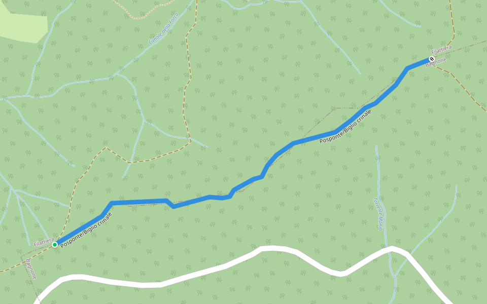 Posponte/Biglio ridge Hiking Trail - Toscana | Pacer