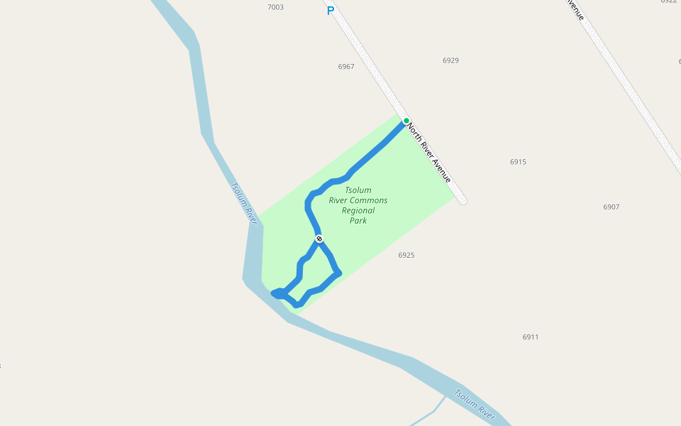 Tsolum River Commons Trail Walking and Running - Courtenay, British ...