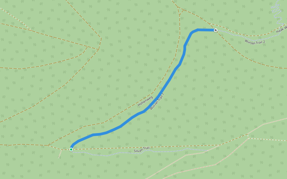 Root Trail 1 Walking and Running - Michelstadt, Hessen | Pacer
