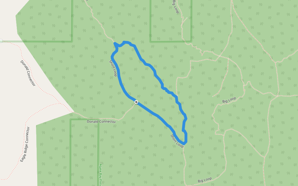 Short Loop Hiking Trail - Bellingham, Washington | Pacer