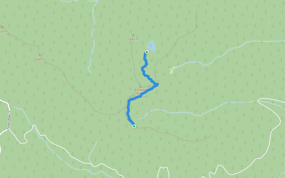 Heart Lake Trail #3407 | Walking Map