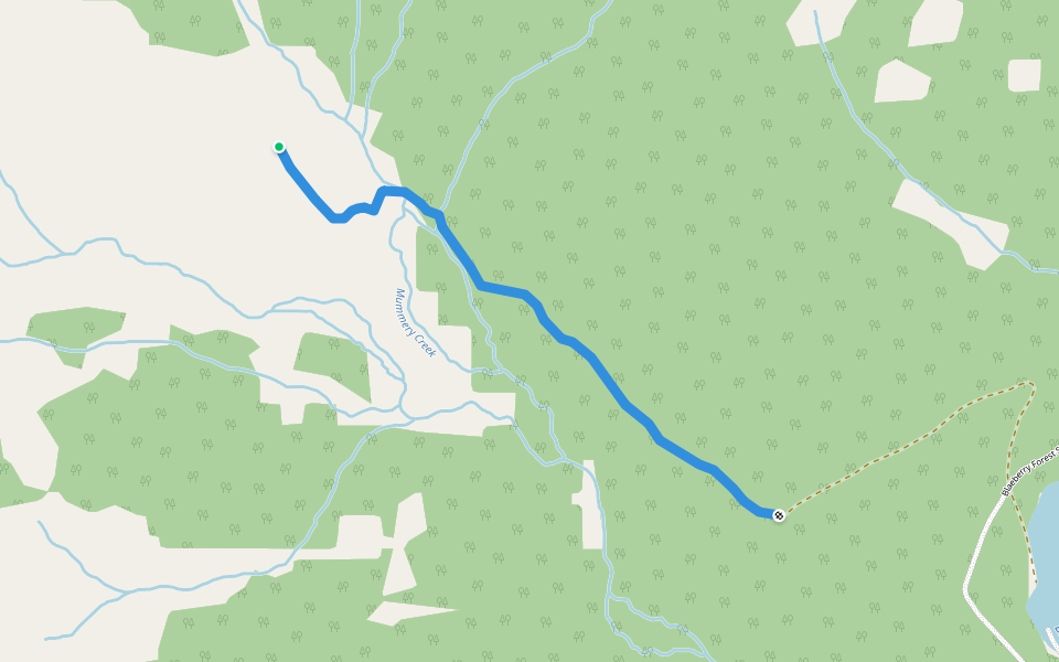 Mummery Glacier Trail in British Columbia | Walking Map