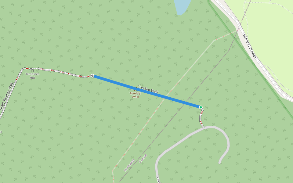 TreeTop Walk Trail - Singapore | Pacer