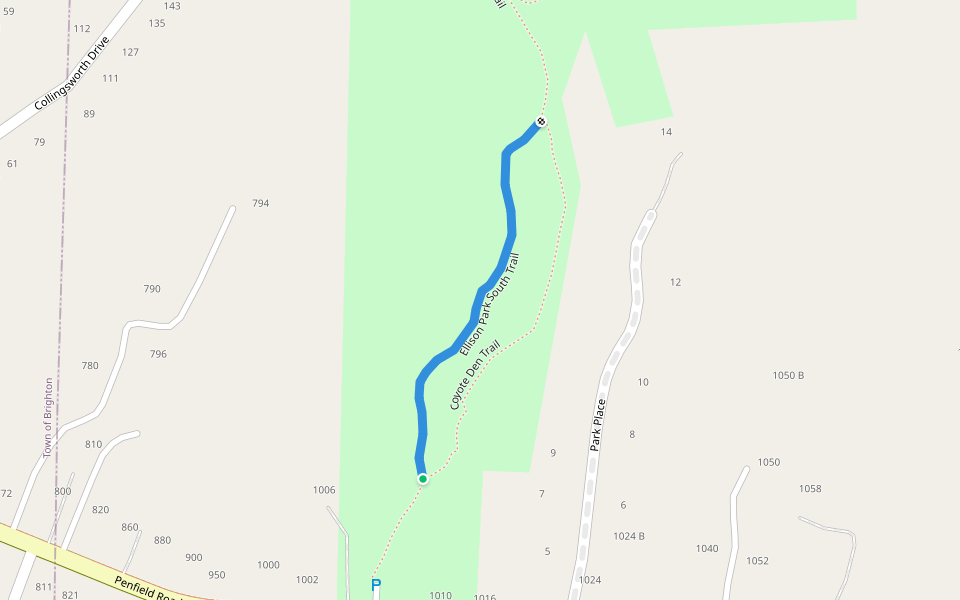 Ellison Park South Trail Hiking - Rochester, New York | Pacer