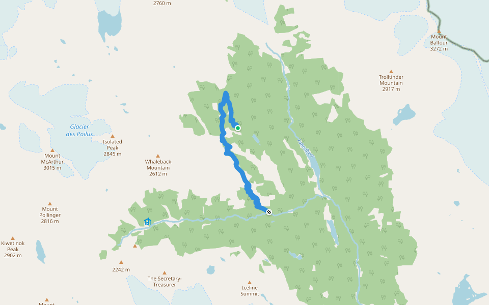 Whaleback Trail Hiking - Field, British Columbia | Pacer