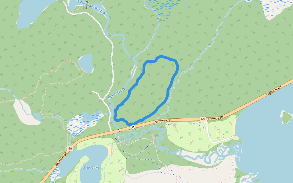 Two Rivers Trail Hiking - Algonquin Park, Ontario | Pacer