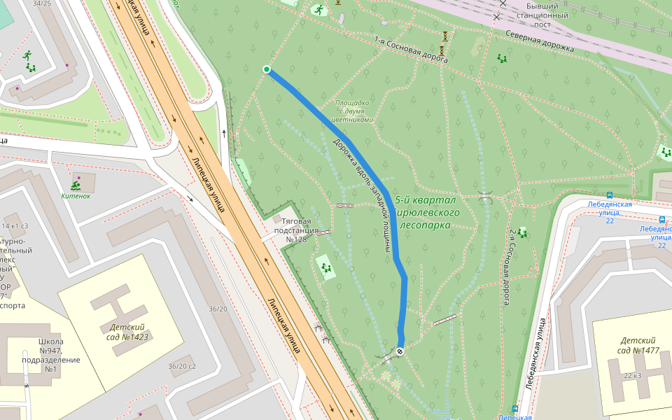 Path along the western ravine Walking And Running Trail - Moskva | Pacer